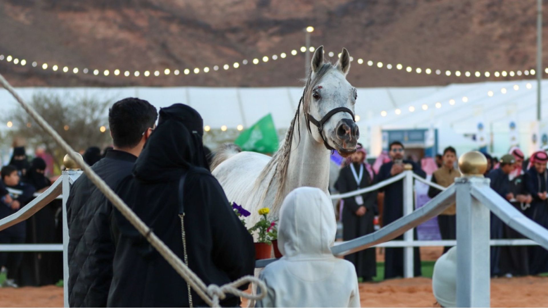 Equestrian Field - Visit Saudi Official Website