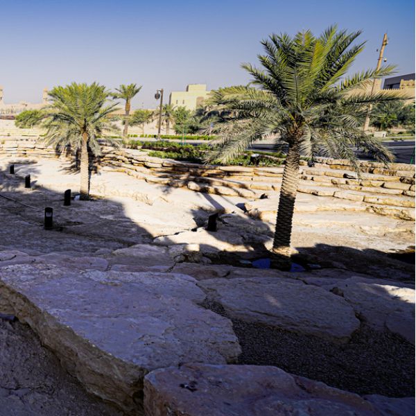 Nature - Visit Saudi Official Website