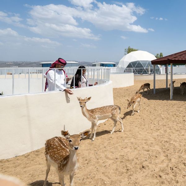 Nature - Visit Saudi Official Website
