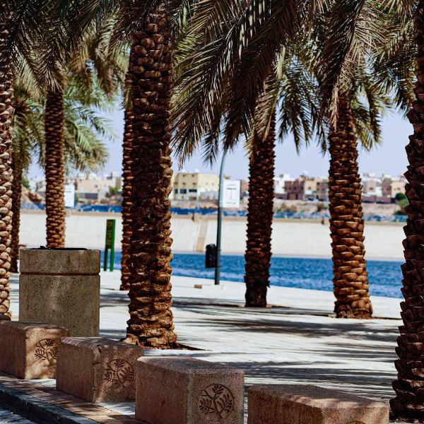 Bateel - Visit Saudi Official Website